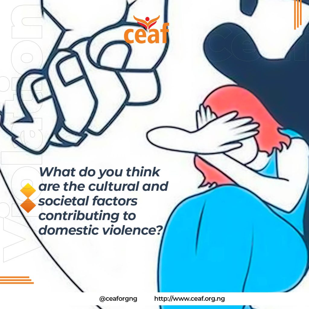 Cultural Norms And Societal Factors That Plays A Role In Domestic ...